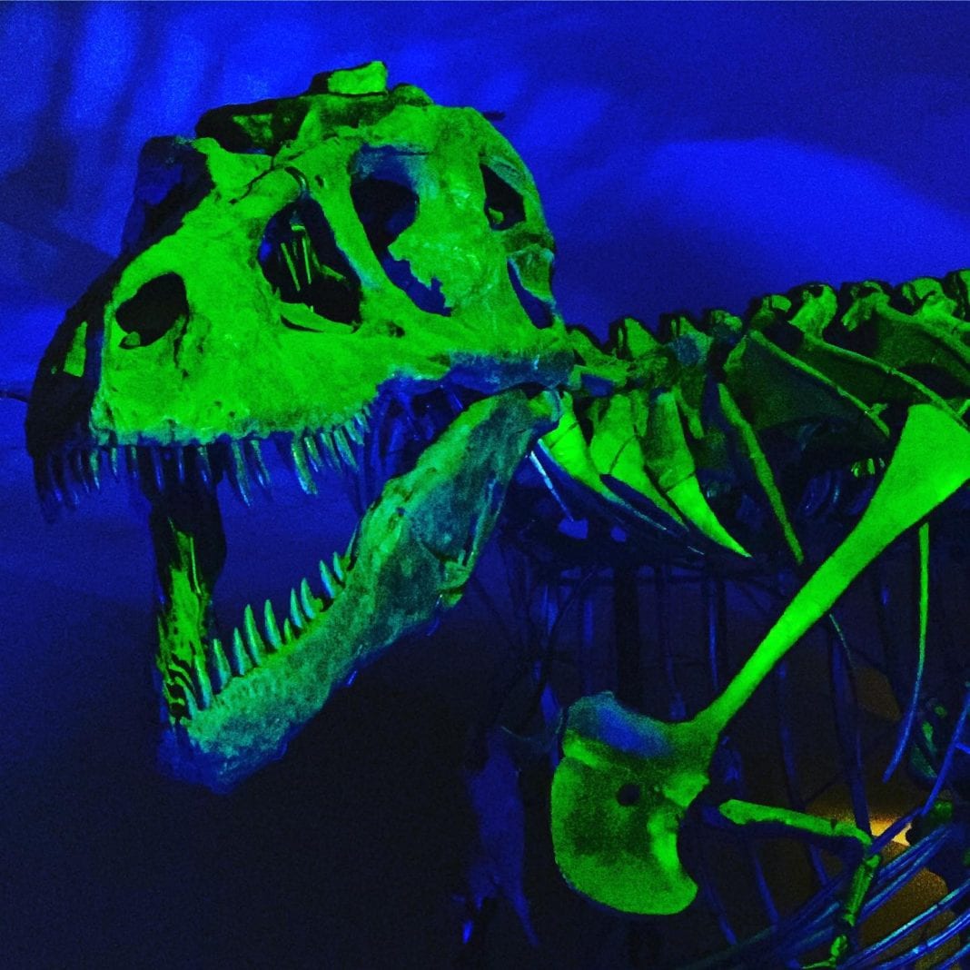Celebrating 33 Years: The Day SUE the Tyrannosaurus Rex Emerged from ...