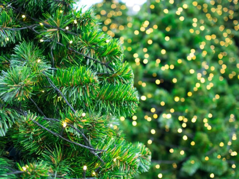 Henderson WinterFest 2025 Returns Dec. 4–5 with Parade, Tree Lighting ...