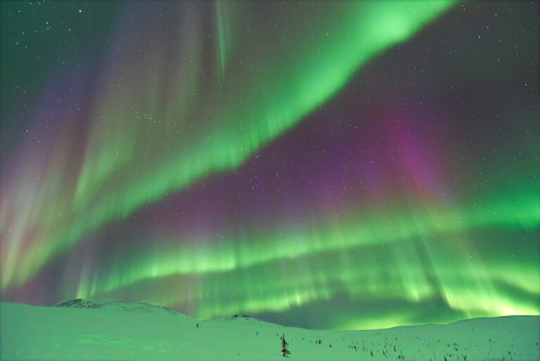 Montana: Aurora Borealis to Light Up Montana Skies Tonight and Tomorrow ...