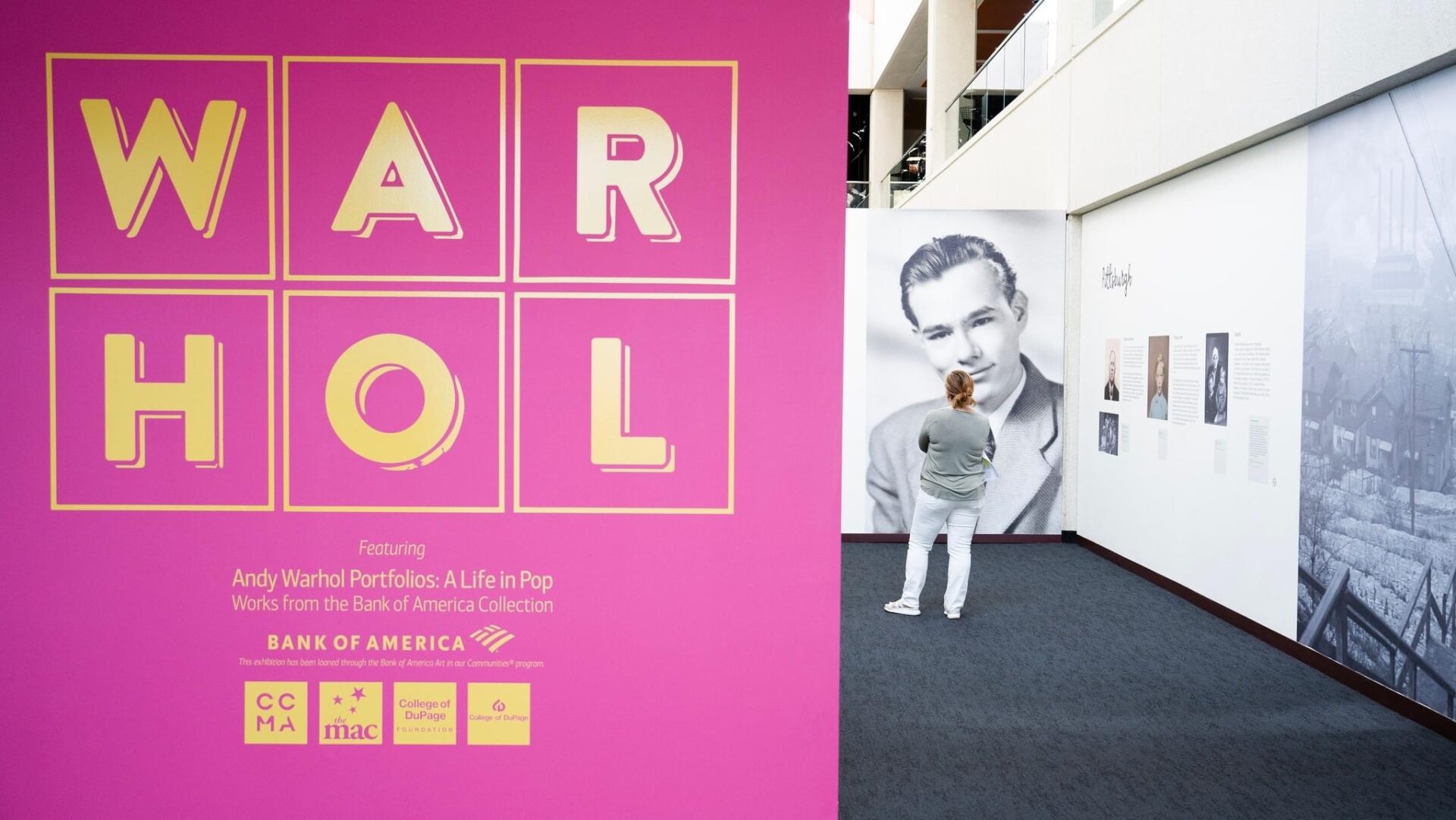 Explore the Artistic Legacy of Andy Warhol at 'Warhol' Exhibition in Illinois - Country Herald