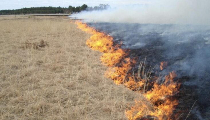 Hillsborough County, FL - Fire Contained: 35 Acres Burned Near ...