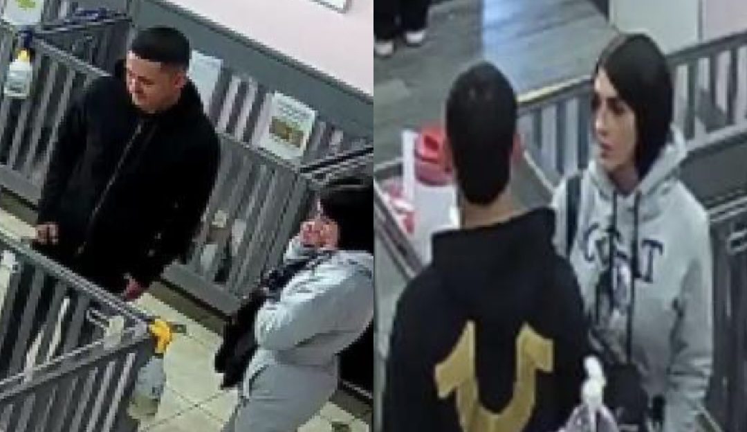 Portage, IN - Indiana Pet Store Reports Pomchi Puppy Stolen, Suspects ...