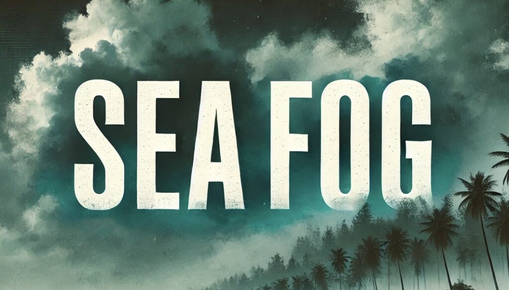 Florida Weather Alert: Sea Fog, Thunderstorms Expected Across Tampa Bay ...