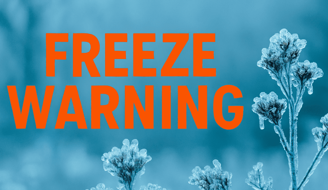 Michigan Freeze Warning: Sub-Freezing Temperatures Expected Across ...