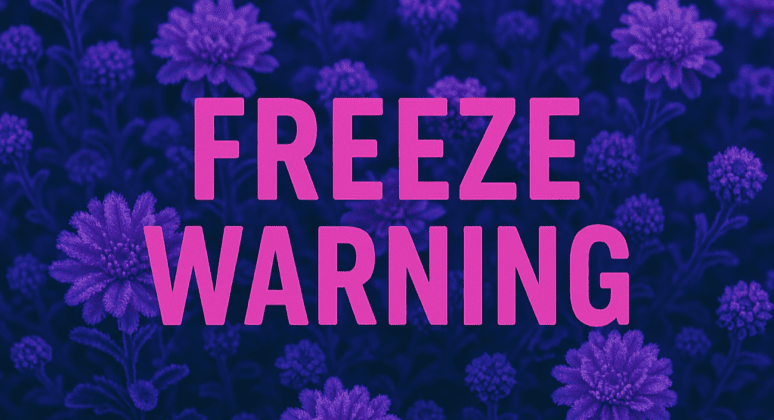 Virginia Freezing Temperatures: Freeze Warning for Central, Western ...