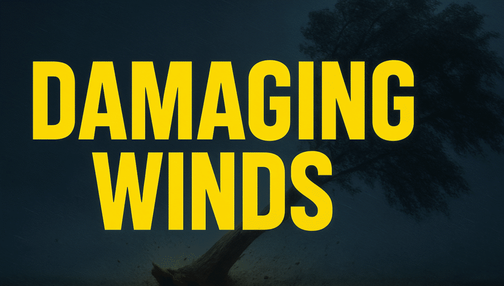 Montana Weather Alert: 60+ MPH Winds Expected on I-90, US-191 Tonight ...