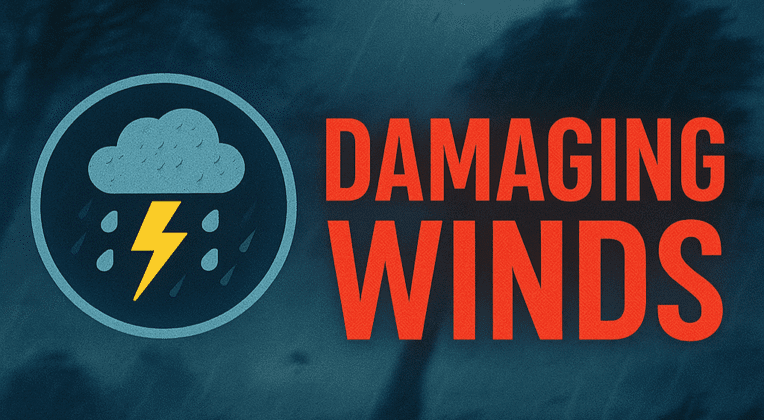 Southeast Michigan Weather Alert: Damaging Winds, Heavy Rain Expected ...