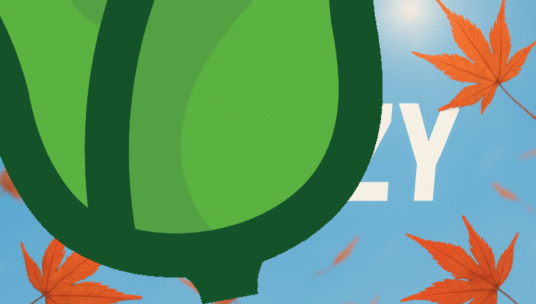 North Carolina Fall Weather: Chilly Start Friday as Breezy Conditions ...