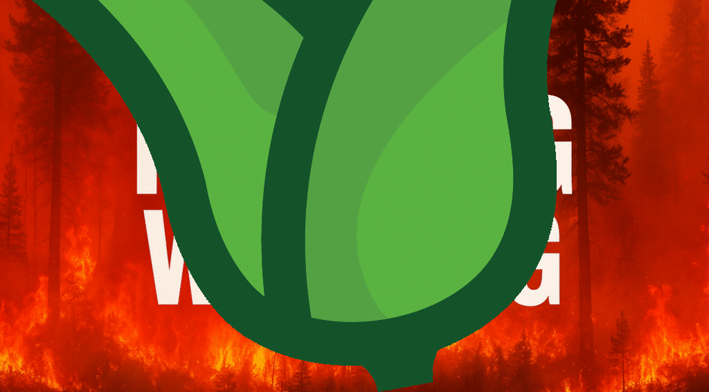 Georgia Weather Alert: Red Flag Warning Noon Through 7 PM Today, RH ...