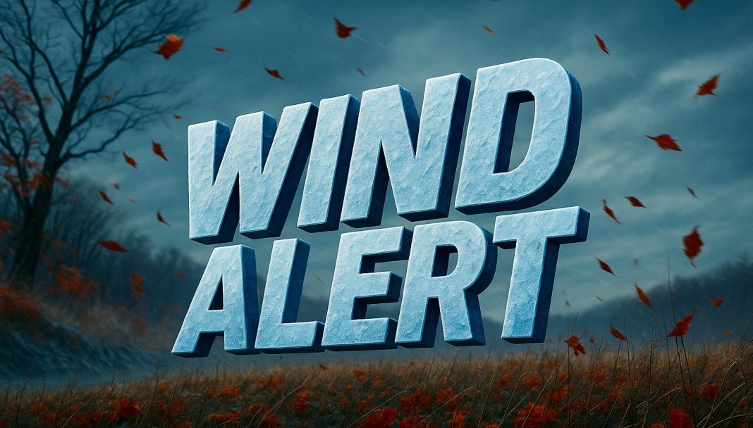 Nevada Weather: Fall Wind Advisory in Effect Thursday Across Central ...