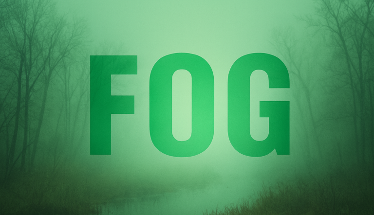 Upstate South Carolina Weather: Patchy Fog, Steady Rain by Friday Morning - Country Herald