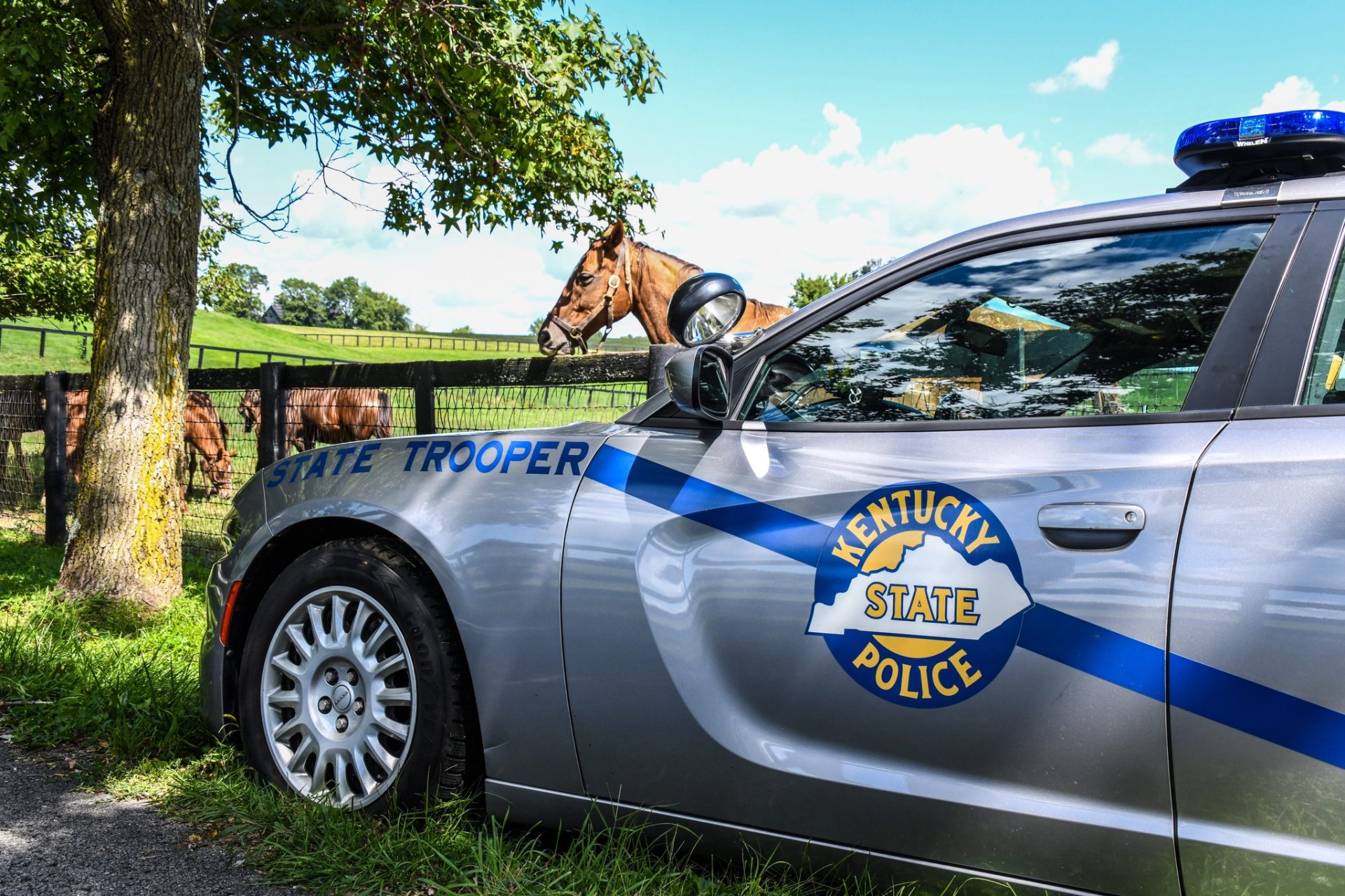 Kentucky - Police: Deputies Celebrate National Kentucky Day Across the ...