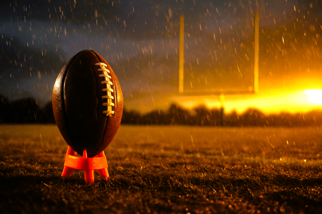 Cook County, IL - Game Day Safety Reminder: Palos Park Police Urge Fans ...