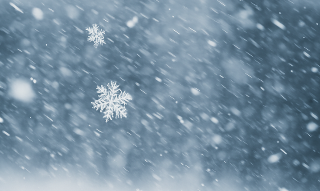 Wisconsin Weather Alert: Green Bay Snow Peaks in Fox Valley, Evening ...