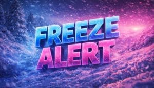 New Mexico Weather Alert: 24–28° Freeze Concerns Build in Albuquerque ...